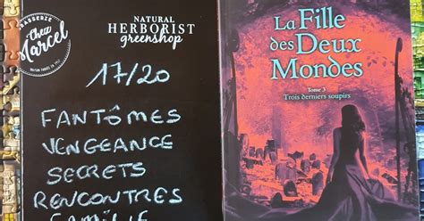 Les lectures de Mylène La fille des deux mondes tome 3 Trois