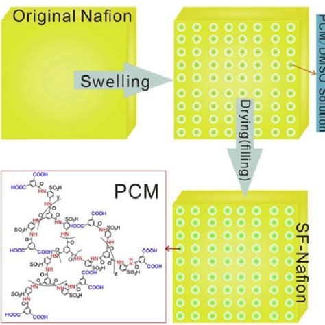 schematic diagram of in situ nano scale sf strategy reproduced with