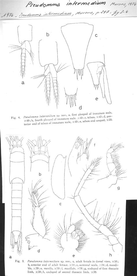 Worms World Register Of Marine Species
