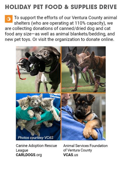 At Stantec This Has Been My First Year On The Community Engagement Team