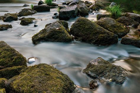 Batu Lumut Sungai Foto Gratis Di Pixabay Pixabay