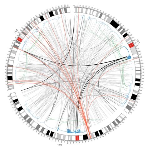Large Circos Circular Genome Data Visualization