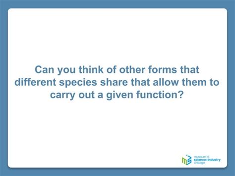 Form Fits Function Pptx