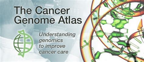 Upcoming Presentation Using Rna Seq Data From The Cancer Genome Atlas