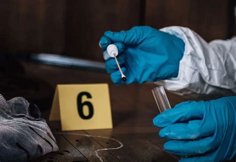 Ciências Forenses E Perícia Criminal Pós Graduação Presencial E Ead