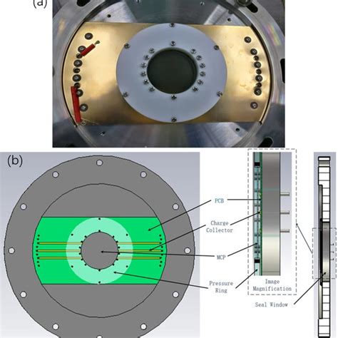 A Photograph Of The MCP B Structural Diagram Of The MCP Download Scientific Diagram