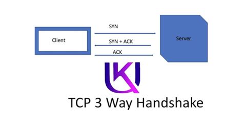 Information Security In Network Basic 3 Packs Like A Boss