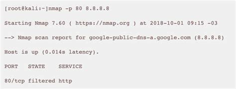pentest nmap İle baŞlar geleceği yazanlar