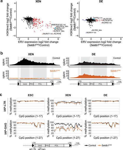 Setdb1 Is Critical To Maintain H3k9me3 And Dna Methylation On Ervs In Download Scientific