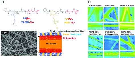 Functionalized Amphiphilic Block Copolymer Fibres Used For Cell
