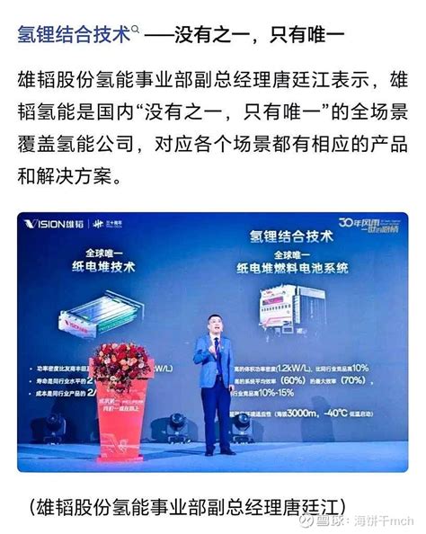 雄韬股份投资价值分析：数据中心电池龙头，储能政策红利与氢锂混合技术三重驱动 在 新能源 产业加速变革的背景下， 雄韬股份 （002733sz