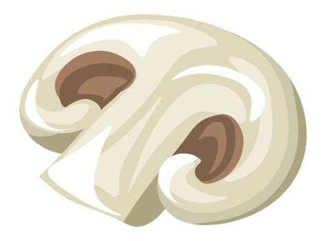Mushroom Slice Vector Art Icons And Graphics For Free Download