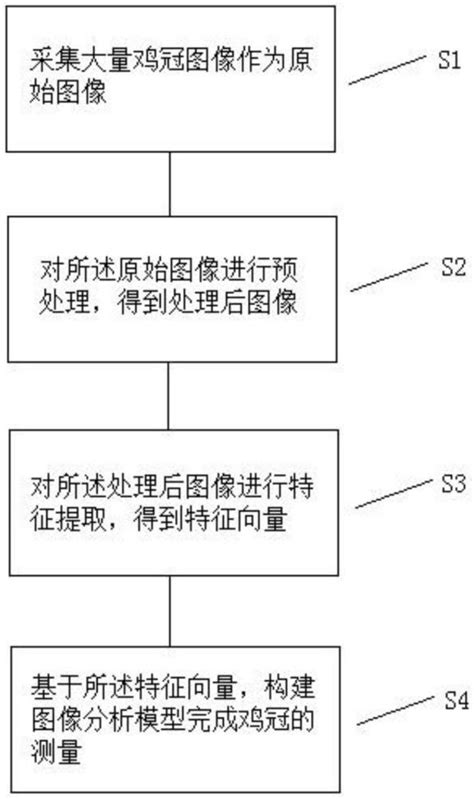 一种基于图像分析的鸡冠测量方法及系统与流程