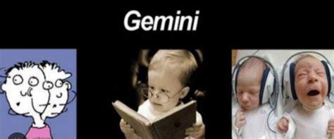 Most Intelligent Zodiac Sign Rastrologymemes