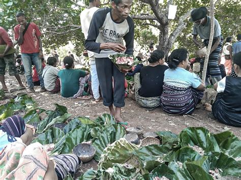 Aliansi Masyarakat Adat Nusantara AMAN Beranda