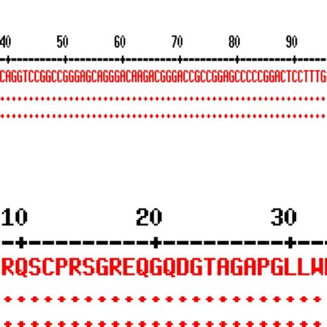 partial dna sequence alignment of exon 1 showing t c mutation in the