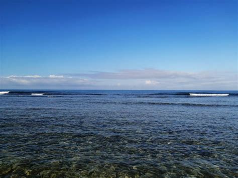 Jian Li On Linkedin Merry Christmas~