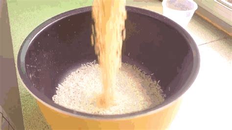 金枪鱼罐头做美味饭团一口下去有菜又有肉的低脂便当