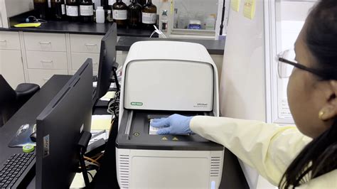 Video Visualizing Methane Cycling Microbial Dynamics In Coastal Wetlands