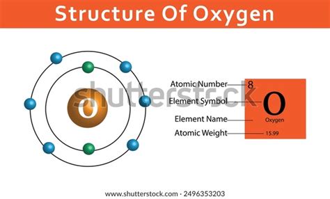 Structure Oxygen Atom Vector Design Stock Vector Royalty Free Shutterstock