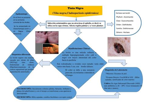 Tinia Nigra Adelaida Riojas UDocz