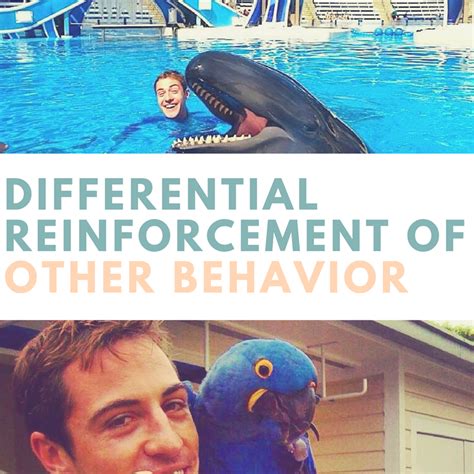 What Is Differential Reinforcement Of Other Behavior Dro Kyle Kittleson