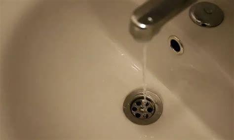 Паразит в питейната вода на село Джулюница хората отказват да пият от чешмите ᐉ Новини Tribune Bg