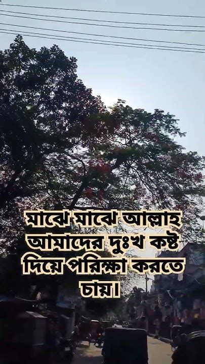 মাঝে মাঝে আল্লাহ আমাদের দুঃখ কষ্ট দিয়ে পরিক্ষা করতে চায়। Reels