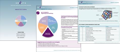 Metacog Online Smarts
