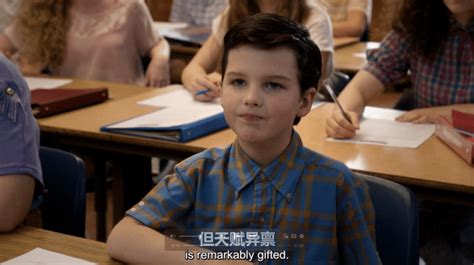 《小谢尔顿》1 3季中英字幕1080p高清视频 中英剧本，附下载方式！ Young