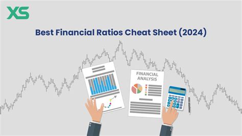 Best Financial Ratios Cheat Sheet 2024 Xs