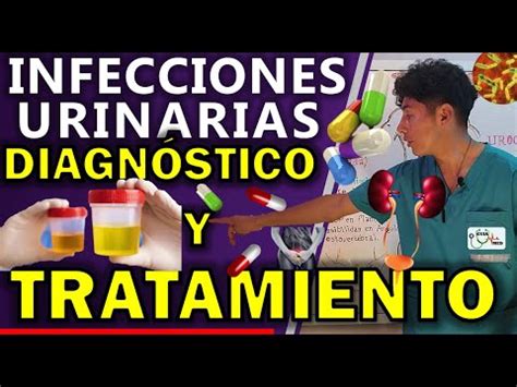 InfecciÓn Urinaria DiagnÓstico Y Tratamiento Guiamed Youtube