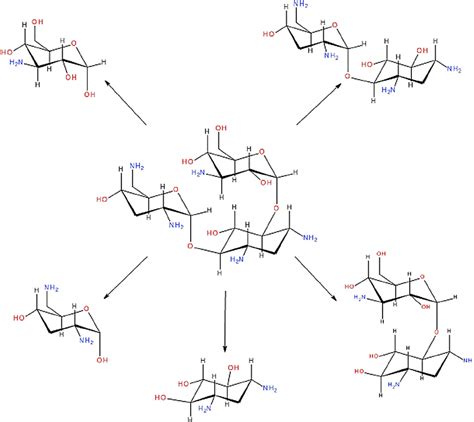 Structure Formula Of Tobramycin And Hydrolysis Products From Top Left Download Scientific