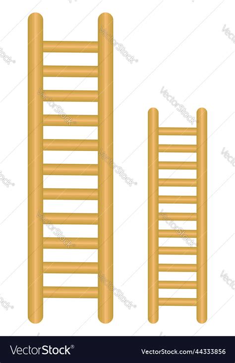 Big And Small Ladders On A White Background Vector Image