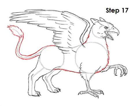 Griffin Drawing Drawing Skill