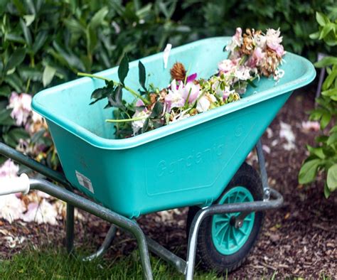 Peony Pruning Mistakes 4 Common Errors To Avoid Homes And Gardens