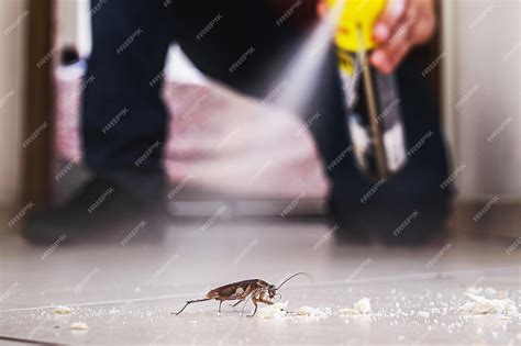 Premium Photo Cockroach Being Killed Indoors Aerosol Poison Spray