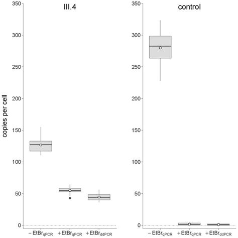 Models Of The Mitochondrial Genetic Bottleneck Adapted From 52