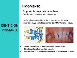 Tema 3 Desarrollo De La Denticion81679f27bfa46356fdb67a7e1bca1878pdf
