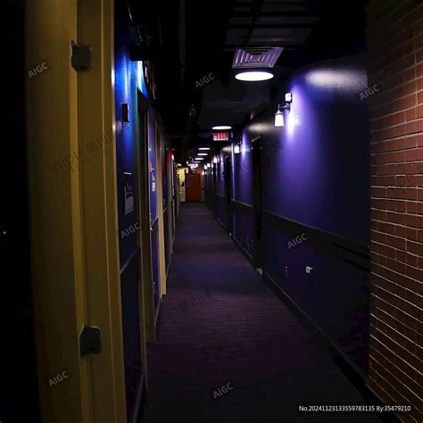 Ai创作图昏暗的走廊 娱乐场所过道 大学宿舍走廊 宿舍走廊 电影院过道 游戏厅通道 学院的走廊 教室门口走廊 电影院通道 走廊灯带 影院过道 电影院走廊 宿舍过道 主题酒店走道 教室过道