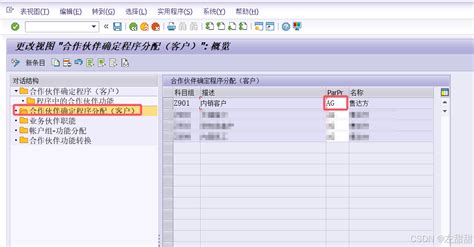 Sap Sd客户主数据及其配置 Sap客户主数据 Csdn博客