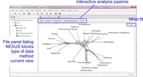 the genealogical world of phylogenetic networks a sneak peek into the