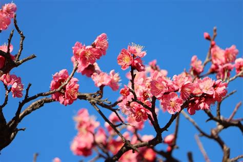 魔が差す時 ドラマ ホリデイラブ を観始めた こぼうずのブログ