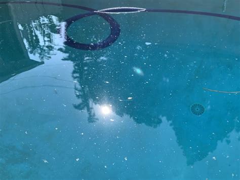 What Are These Particles Floating On Top Of Pool Water Rpools