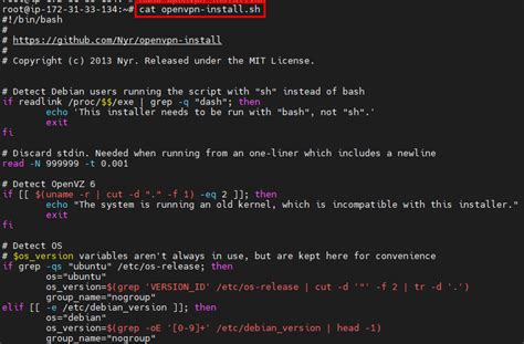 Free Vpn Right Now With Openvpn And Aws Free Tier Roosho