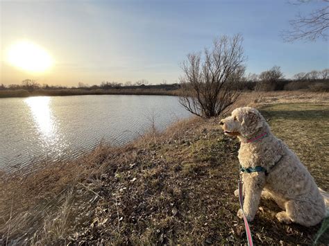 City Of De Pere Photo Of The Day Beth Siebert 📷 Facebook