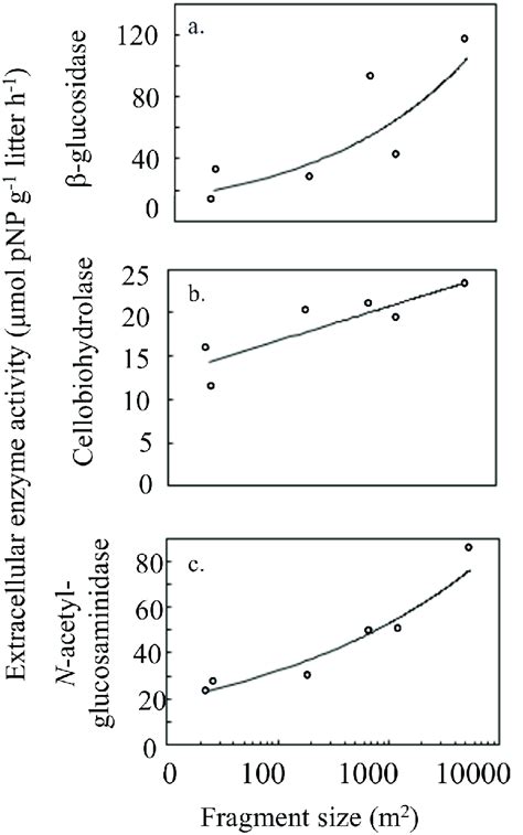 Extracellular Enzyme Activity And Fragment Size Extracellular Enzyme