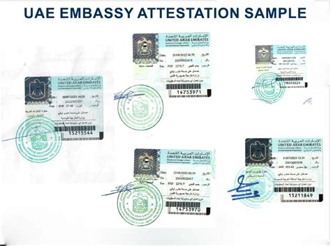 Uae Embassy Attestation Guide 2024 Step By Step Process For All Countries
