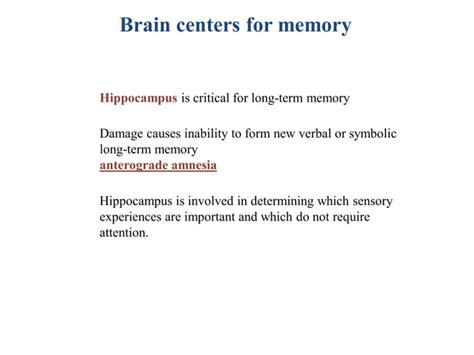 Cerebral Cortex Intellectual Functions Of The Brain Learning And