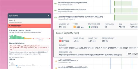 Real User Monitoring Request Metrics 🦥